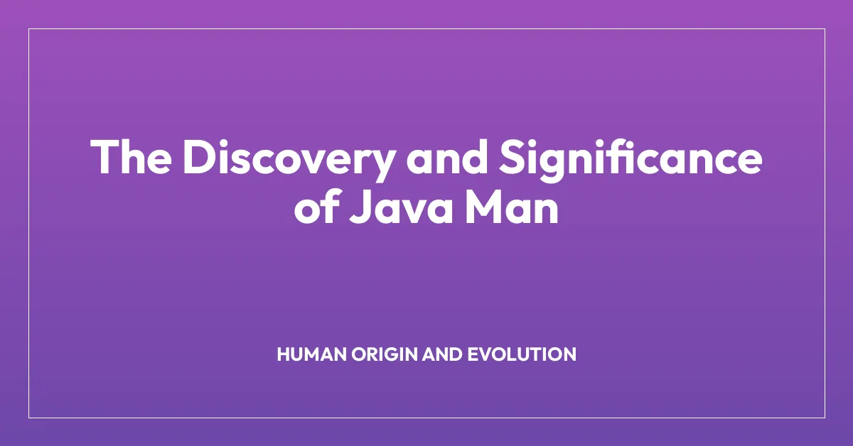 The Discovery and Significance of Java Man • ExploreAnthro.com